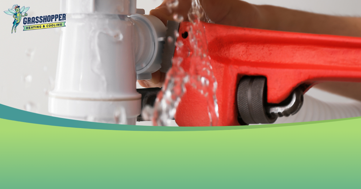 Detecting and Repairing Plumbing Issues in Your Home